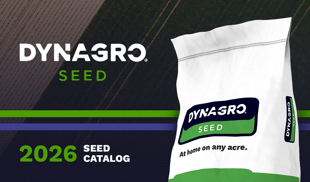 How to Assess Hail Damage | Dyna-Gro Seed