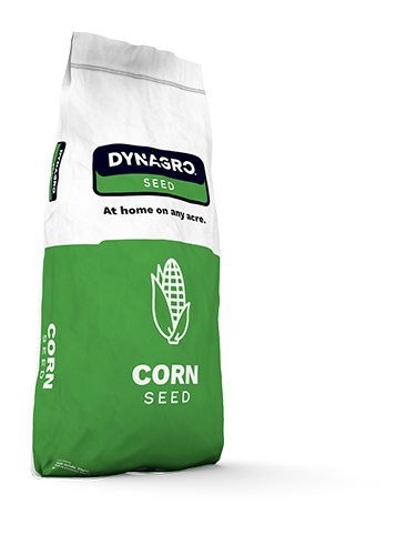 D60TC45 | Dyna-Gro Seed